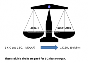 10 Golden Rules for Clinker Burning - INFINITY FOR CEMENT EQUIPMENT